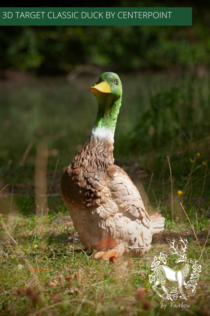 3D COLORED DUCK TARGET BY CENTERPOINT – Fairbow