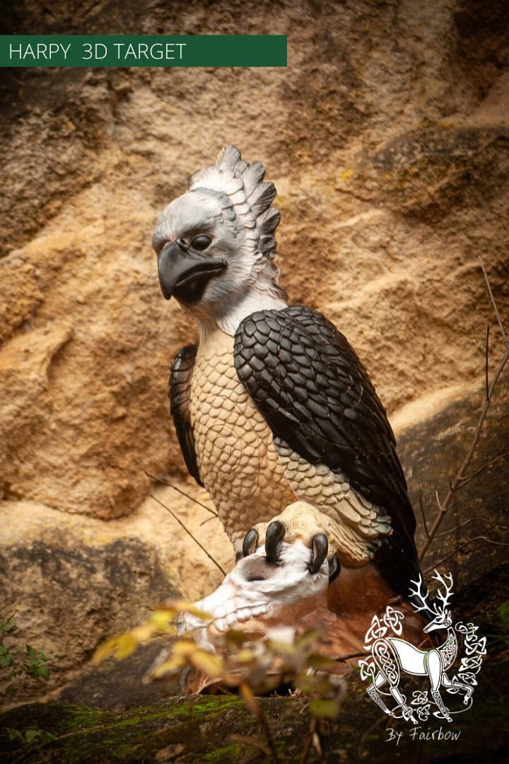 3D HARPY TARGET BY CENTERPOINT – Fairbow