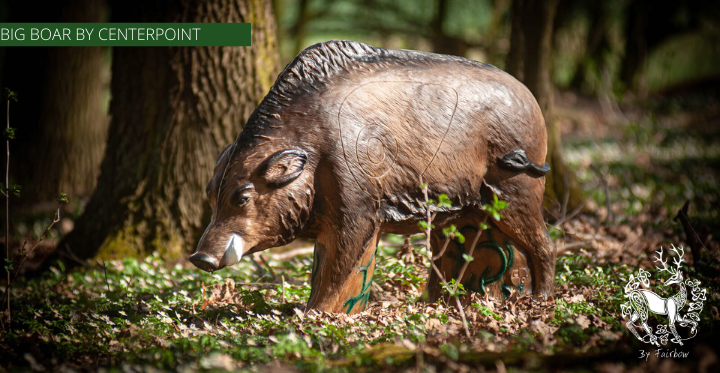 3D BIG BOAR TARGET BY CENTERPOINT – Fairbow