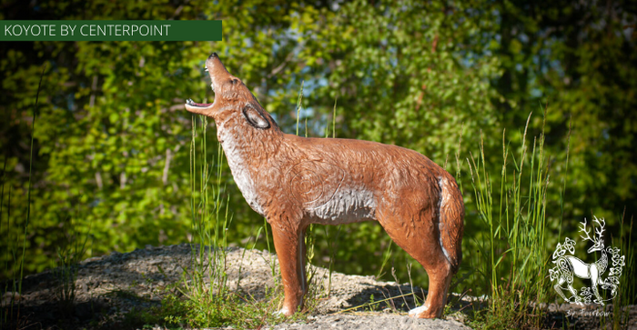 3D COYOTE TARGET BY CENTERPOINT – Fairbow