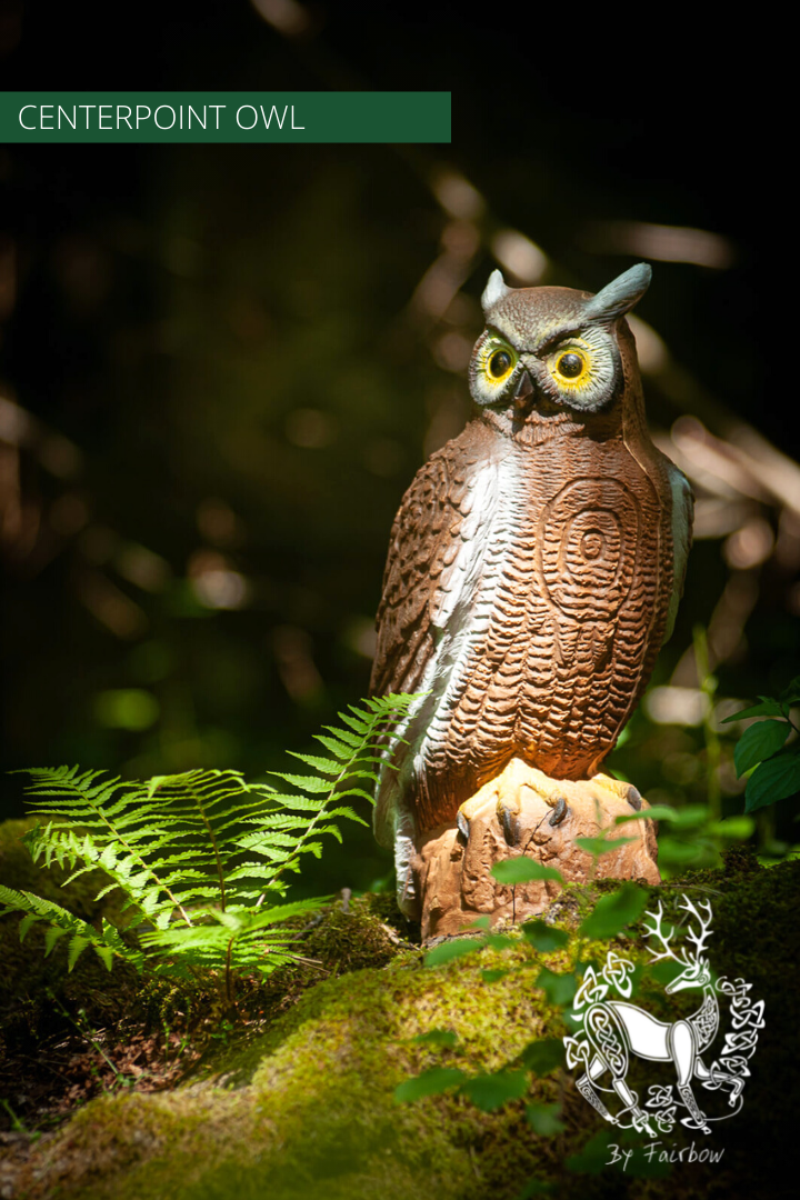 3D OWL TARGET BY CENTERPOINT – Fairbow