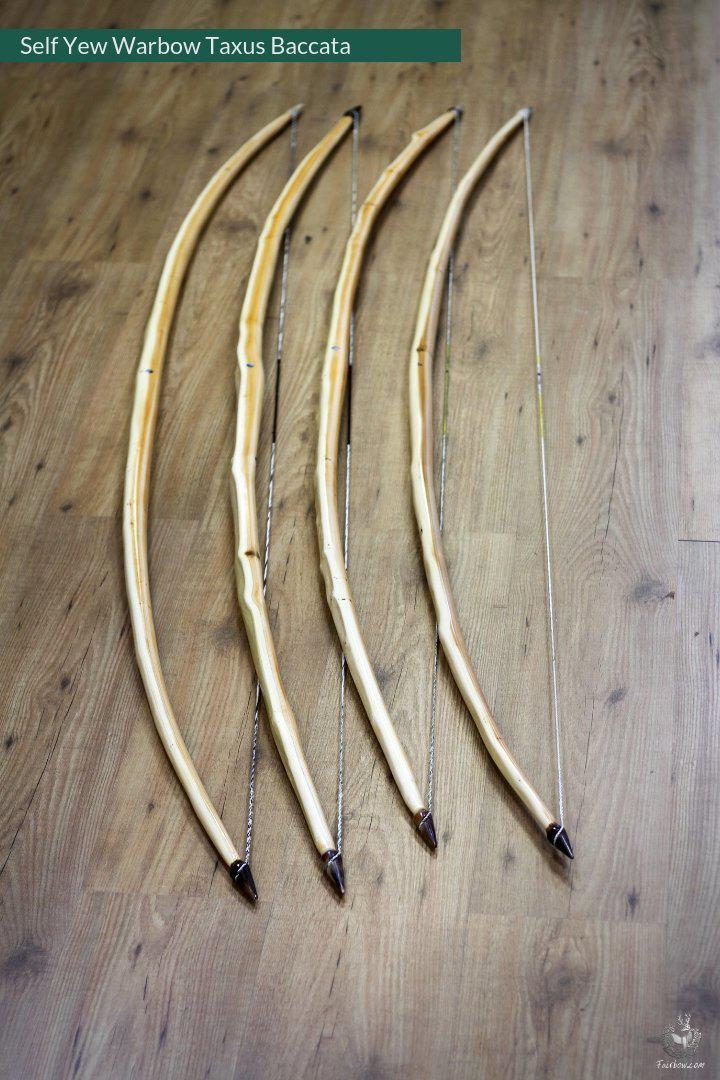 SELF YEW ENGLISH LONGBOW, WARBOW, 141@32 – Fairbow