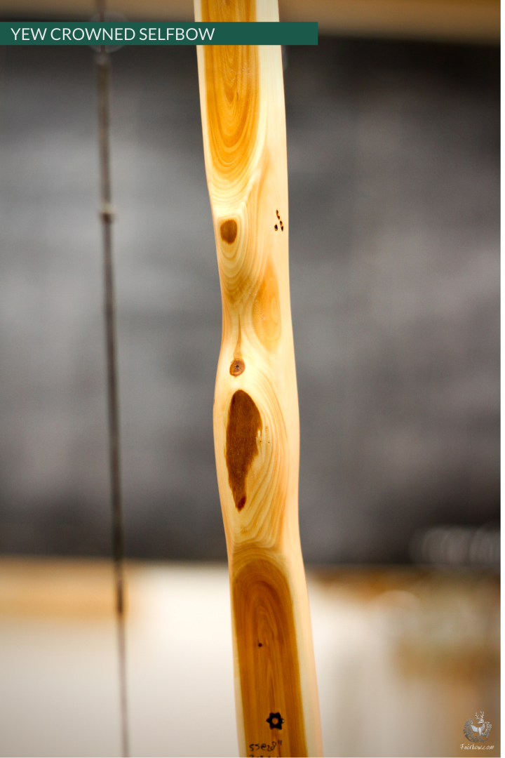 YEW SELFBOW, 67 INCH NTN, 55 LBS – Fairbow